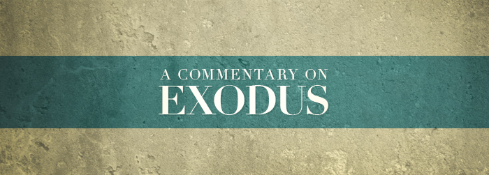 One of the best commentaries on Exodus I have read