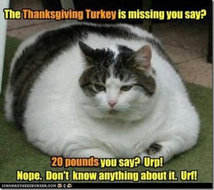 Happy (Funny) Thanksgiving!