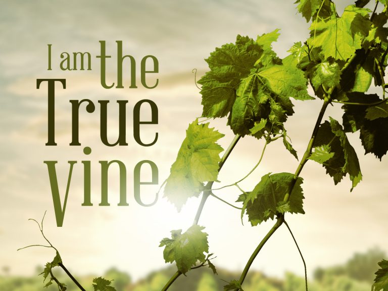 The Vine and the Branches (John 15:1-8) - Redeeming God