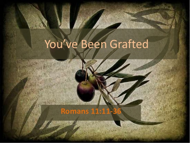 Romans 9 Archives - Redeeming God