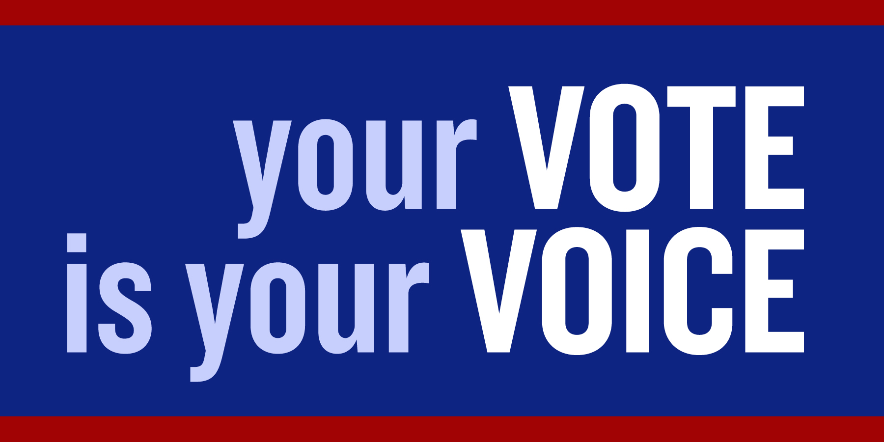 Should I vote in the election?