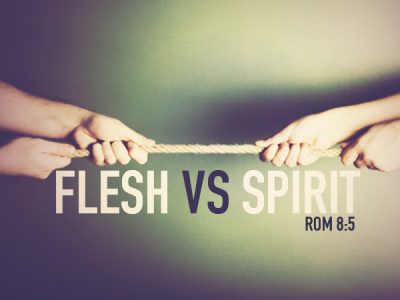 What is the "Flesh" in Romans 6:19?